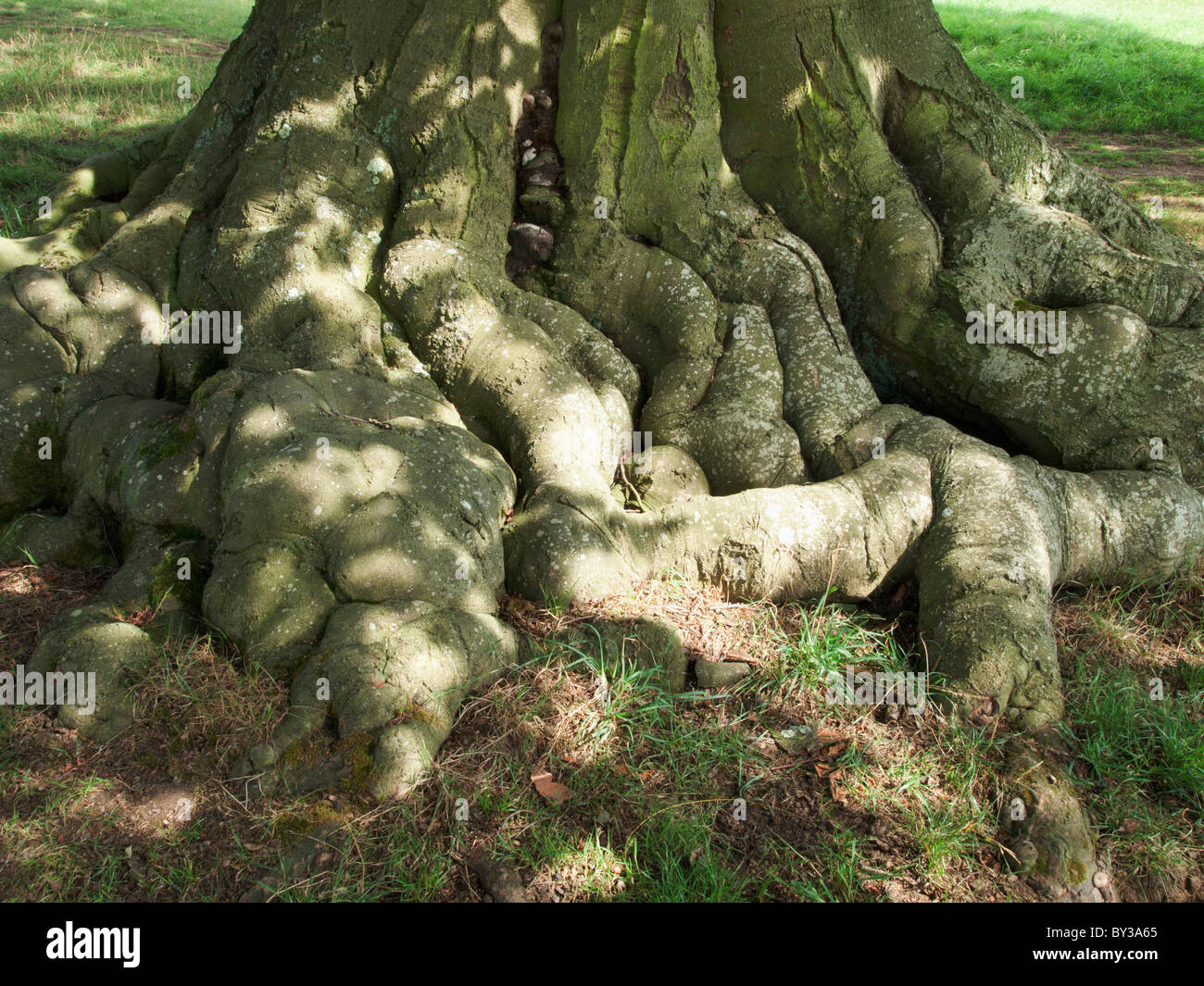 Stanway hall hi-res stock photography and images - Alamy