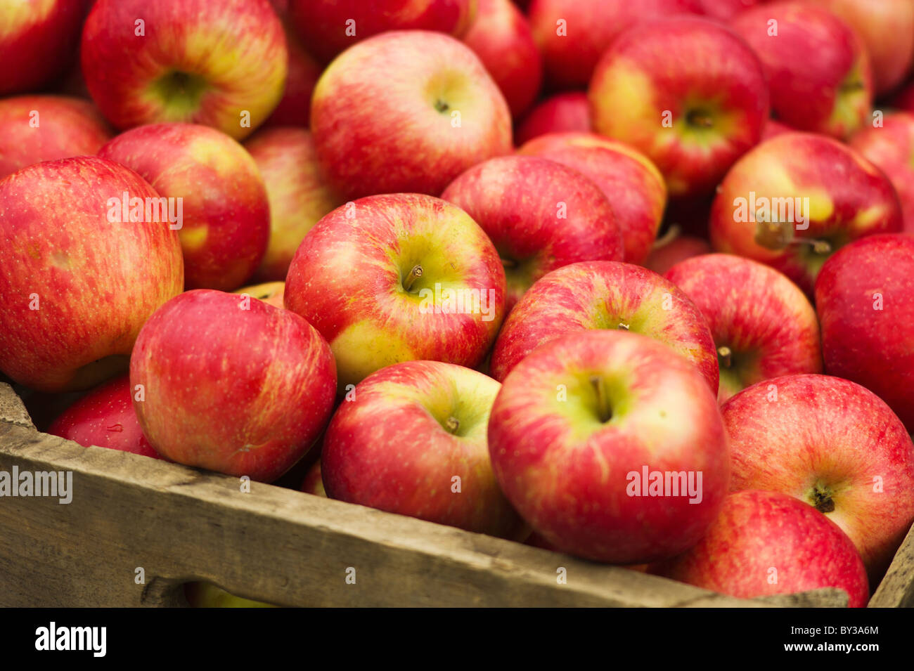 Apples in crate hi-res stock photography and images - Alamy