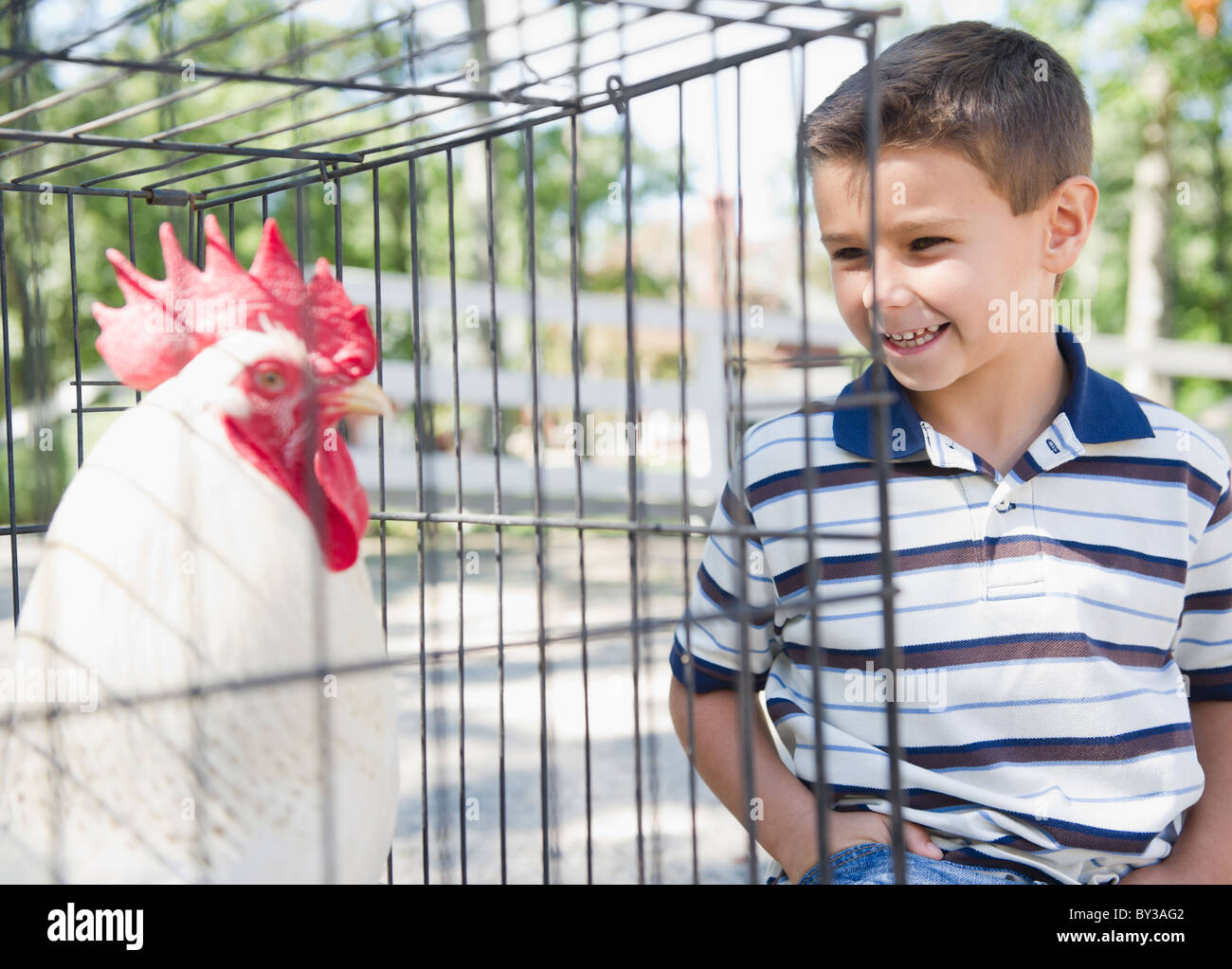 Front of cage hi-res stock photography and images - Alamy