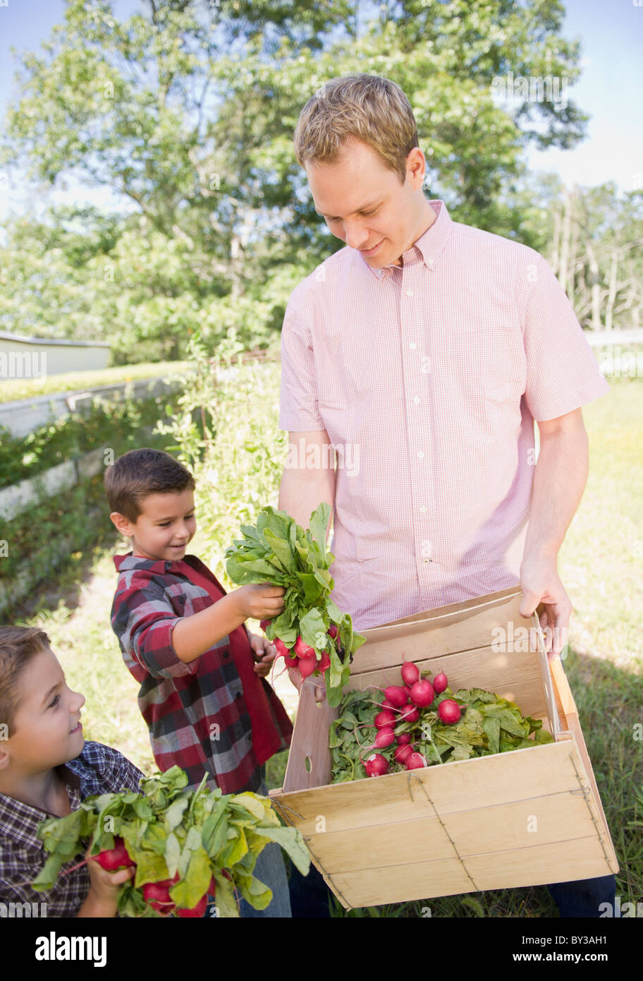 Radish Family High Resolution Stock Photography and Images - Alamy