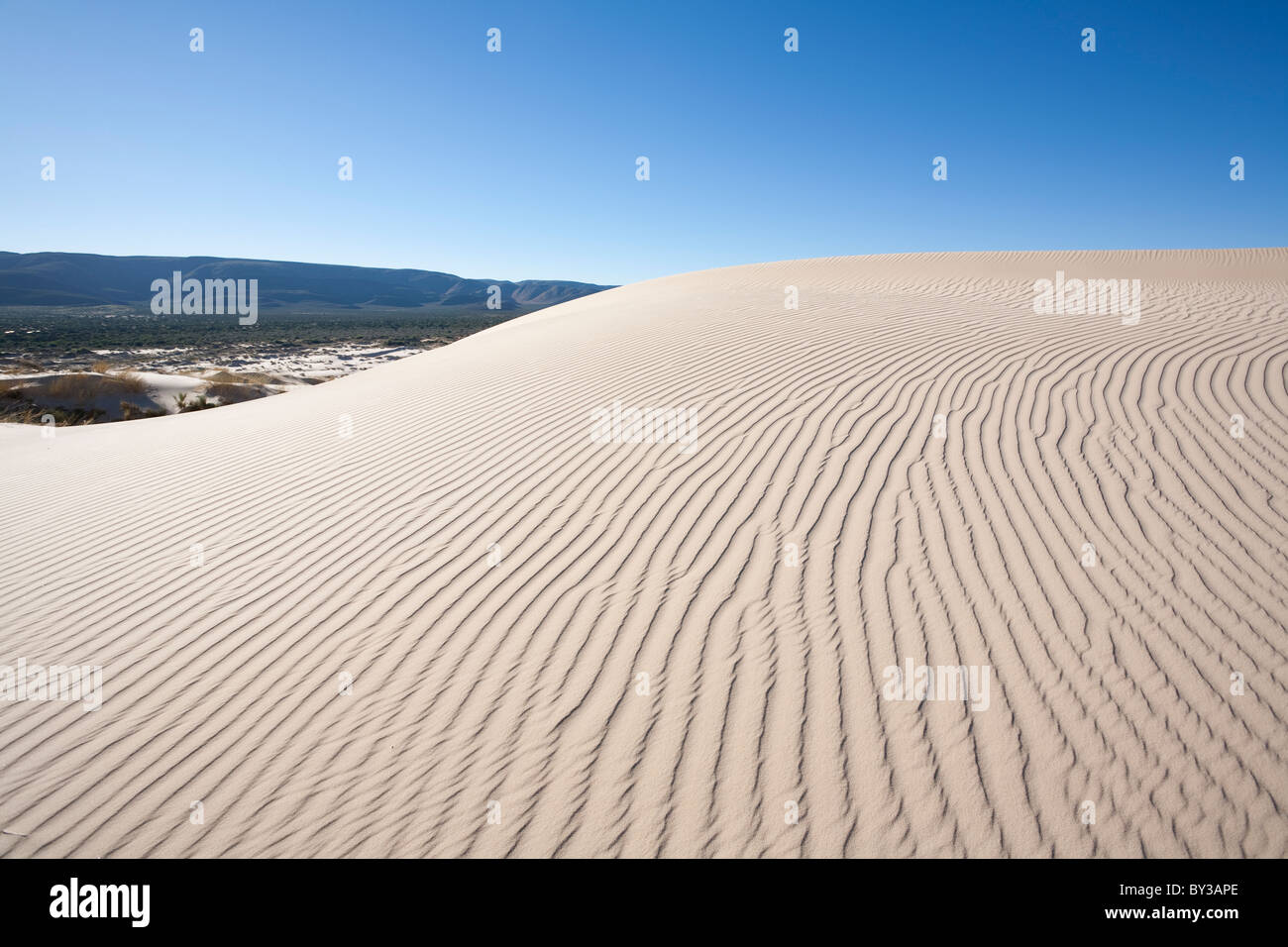 Witsand Nature Reserve High Resolution Stock Photography and Images - Alamy