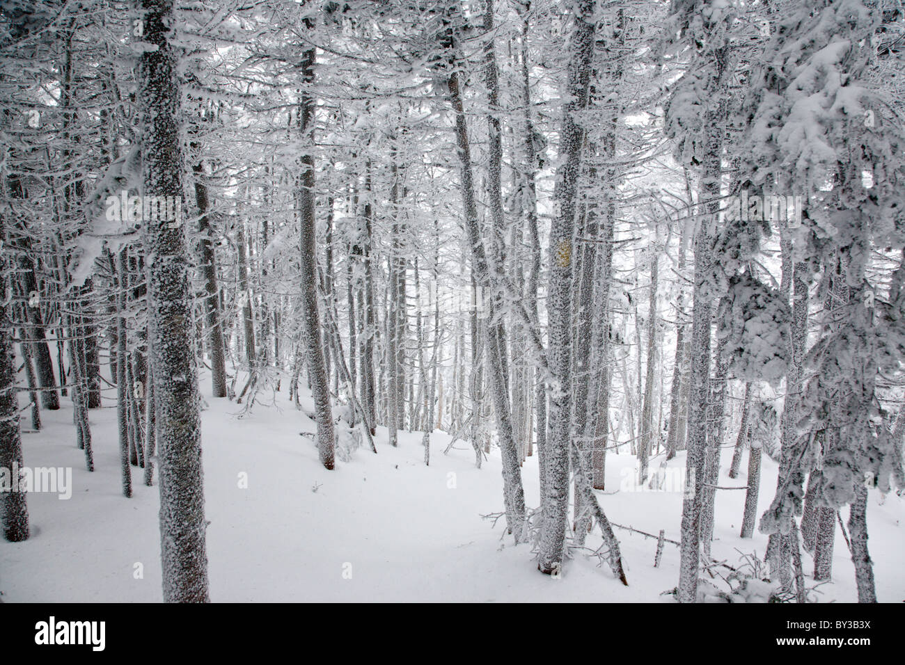 Hancock loop trail hi-res stock photography and images - Alamy