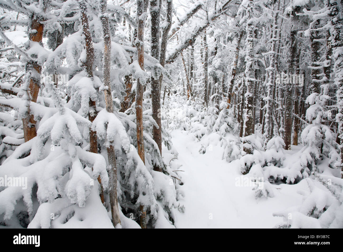 Hancock loop trail hi-res stock photography and images - Alamy