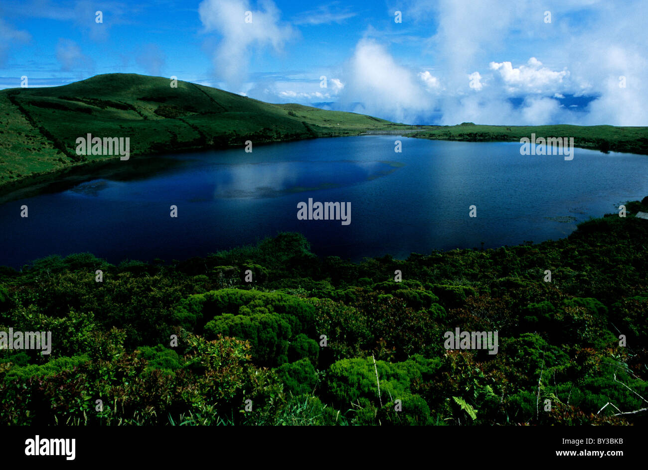 Lagoa do Caiado on Pico island in the Azores archipelago Stock Photo ...