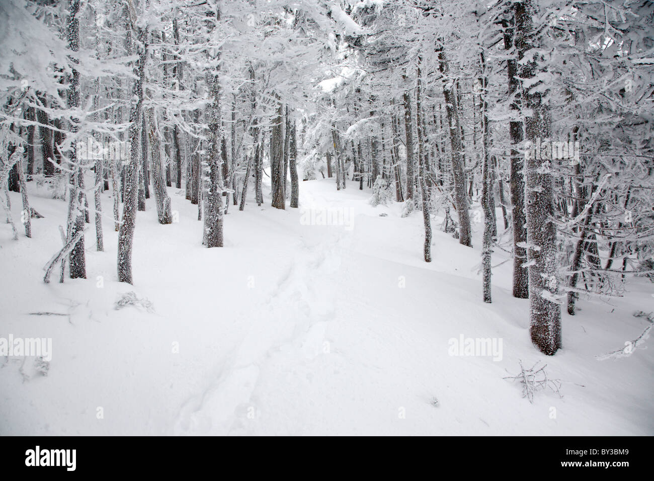 Hancock loop trail hi-res stock photography and images - Alamy