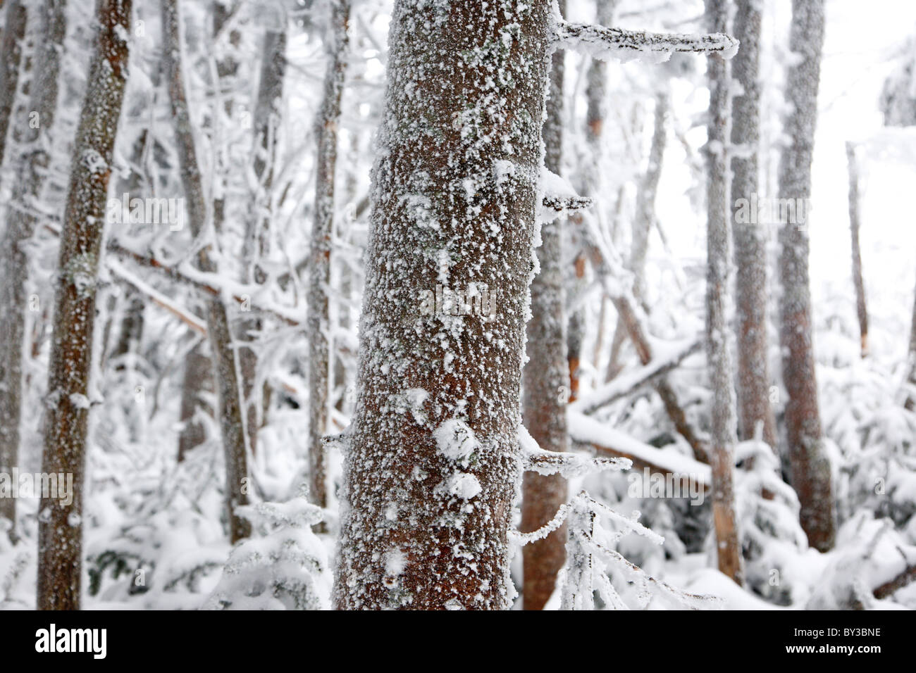 Hancock loop trail hi-res stock photography and images - Alamy