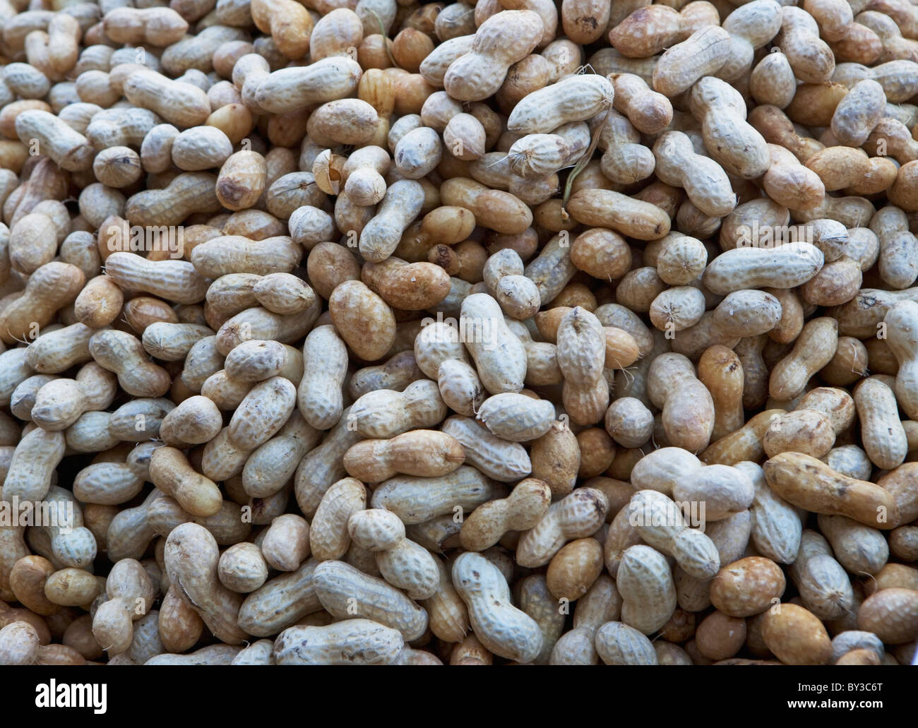 USA, New York City, heap of peanuts Stock Photo - Alamy