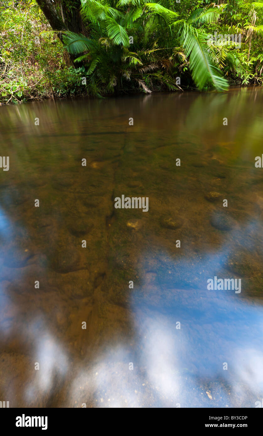 1000 lingas hi-res stock photography and images - Alamy