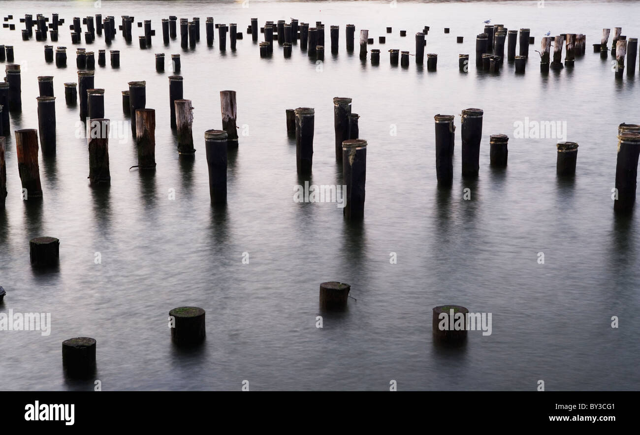 USA, New York City, old pier poles in sea Stock Photo - Alamy