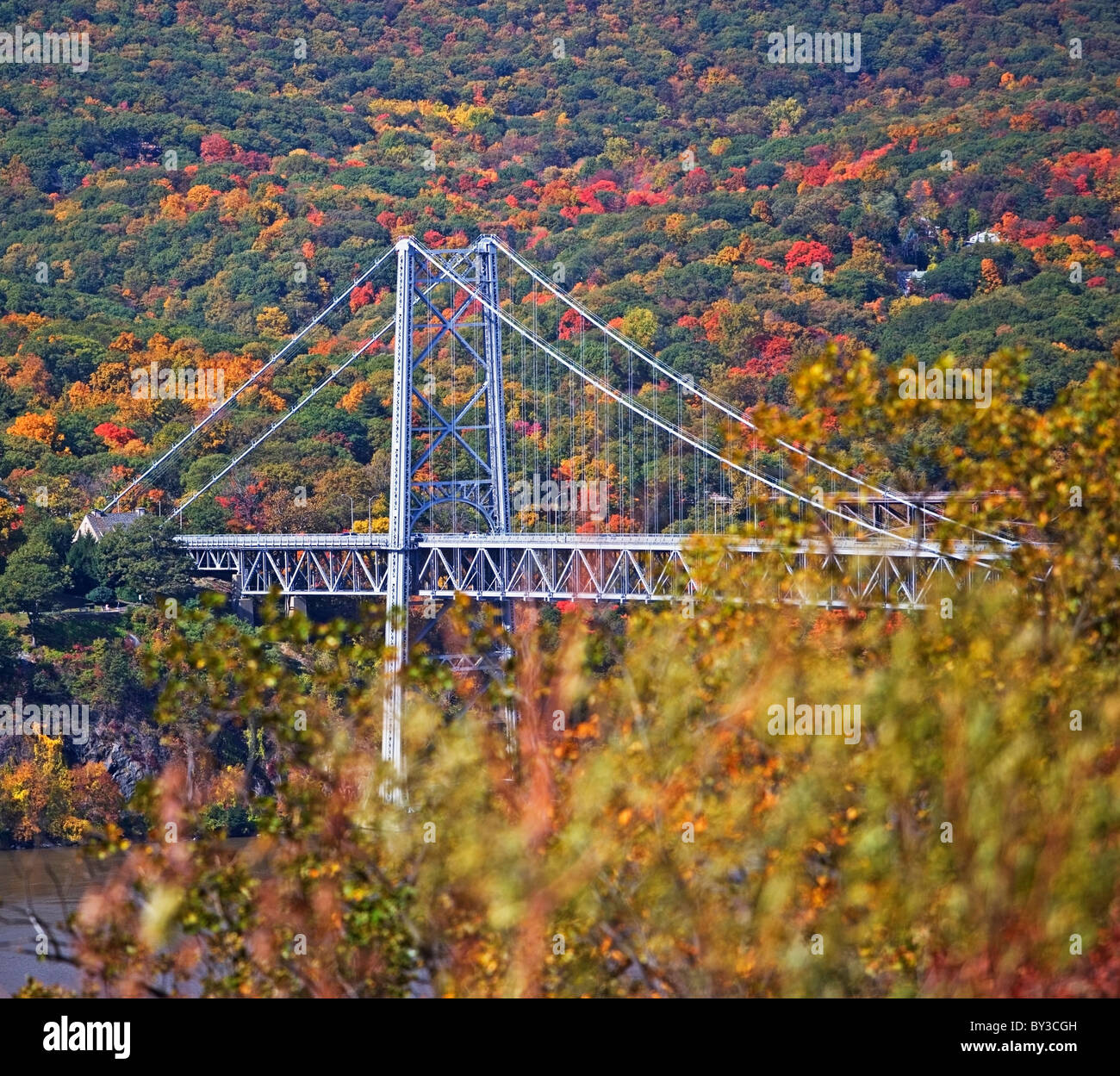 USA, New York, Bear Mountain, bridge in forest Stock Photo - Alamy