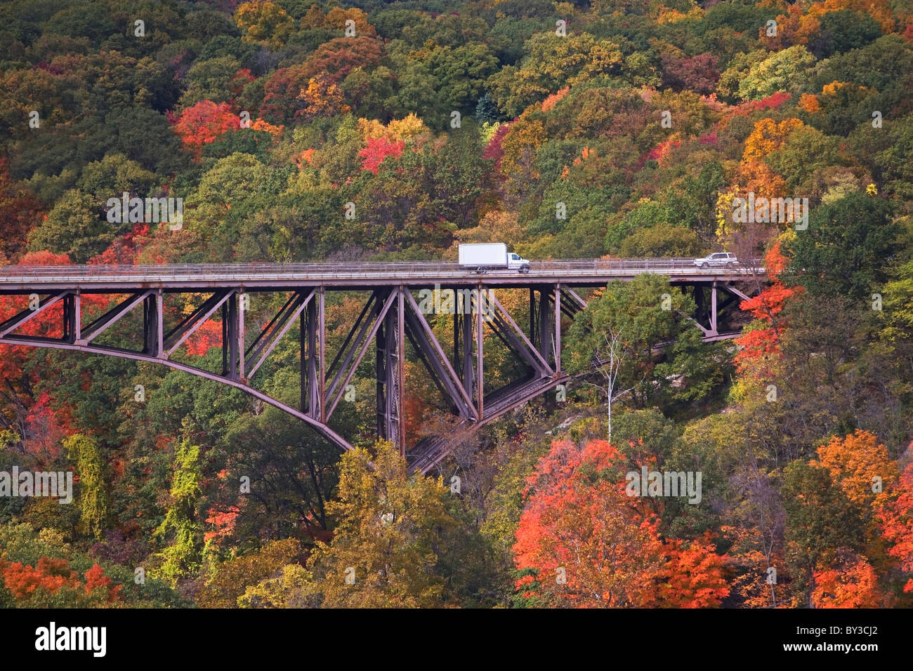 USA, New York, Bear Mountain, bridge in forest Stock Photo - Alamy