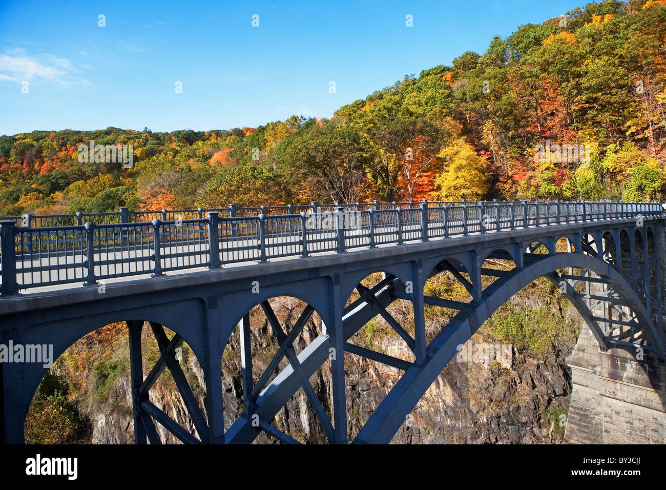 Croton tree hi-res stock photography and images - Alamy