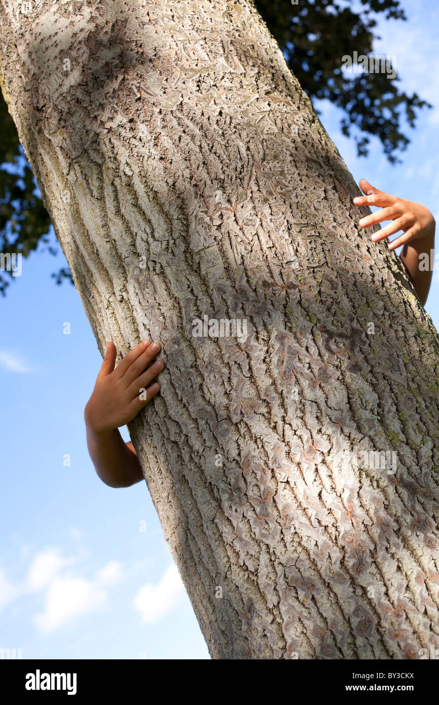 kid hands embracing a tree trunk Stock Photo - Alamy