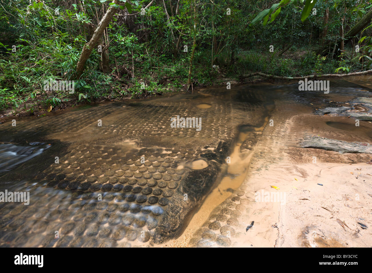 1000 lingas hi-res stock photography and images - Alamy