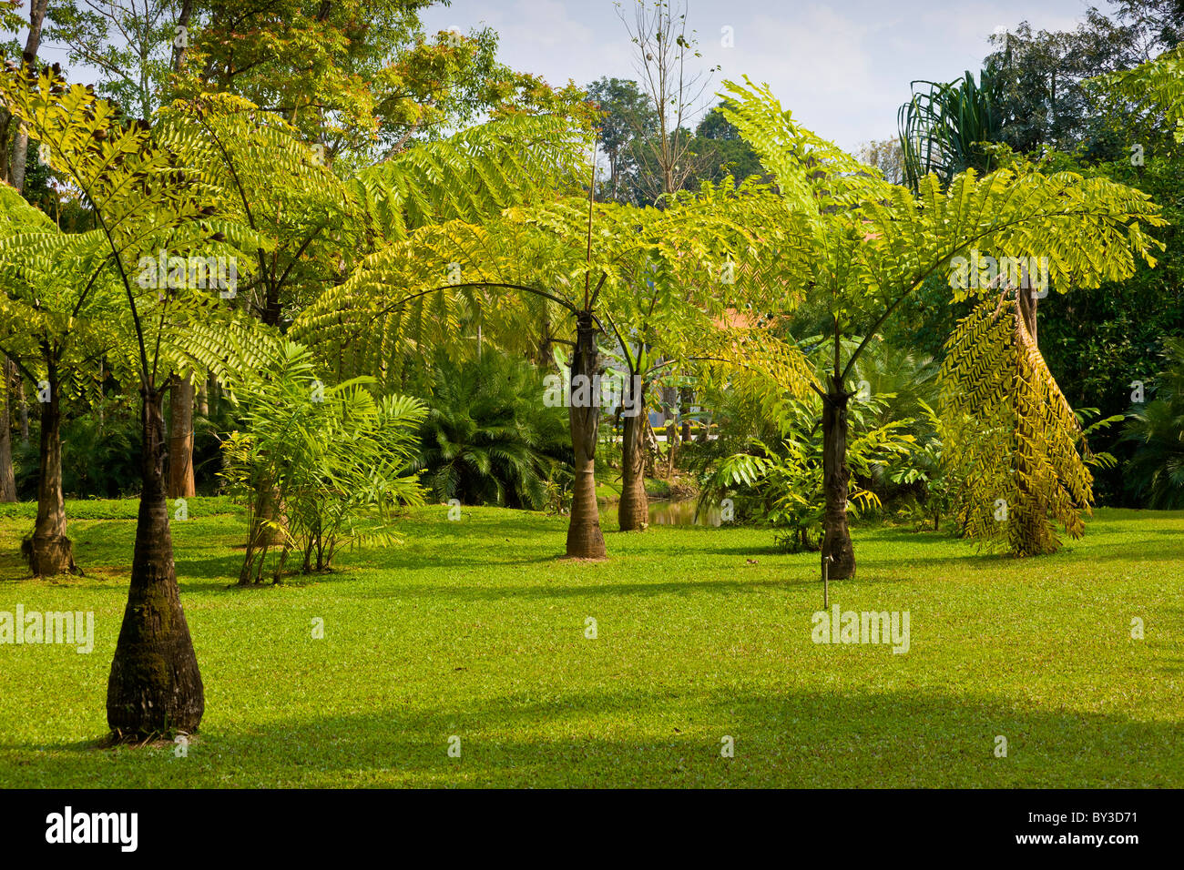 Xishuangbanna Tropical Botanical Garden, Menglun, Yunnan Province ...