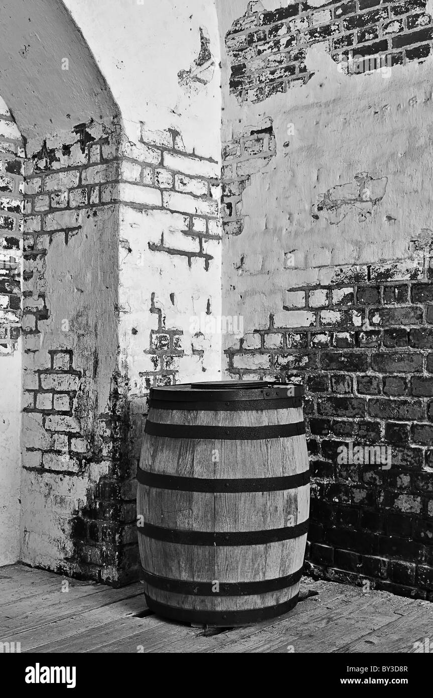 Pulaski fort hi-res stock photography and images - Alamy