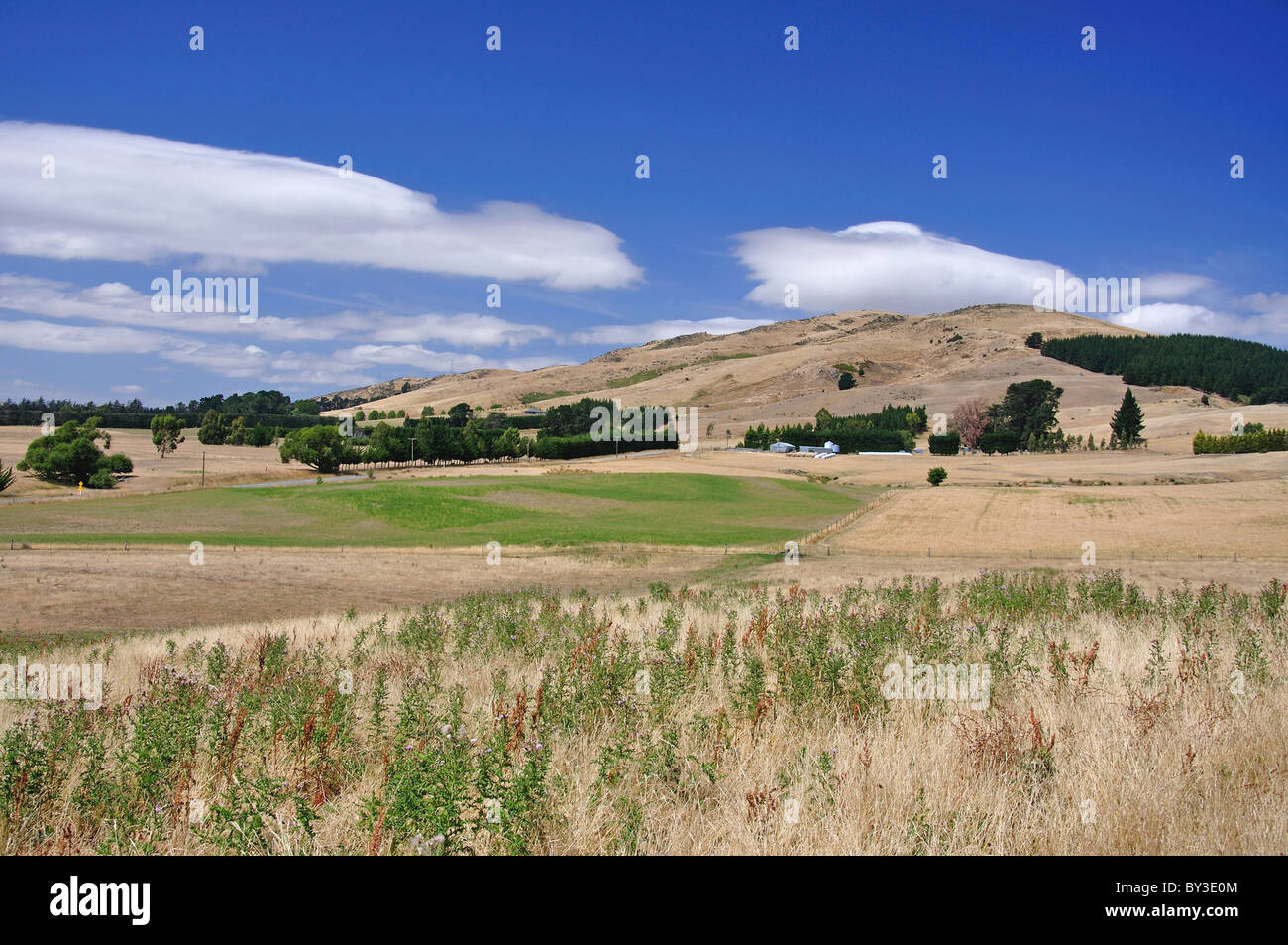 Hill country landscape near Waikari, North Canterbury, Canterbury ...