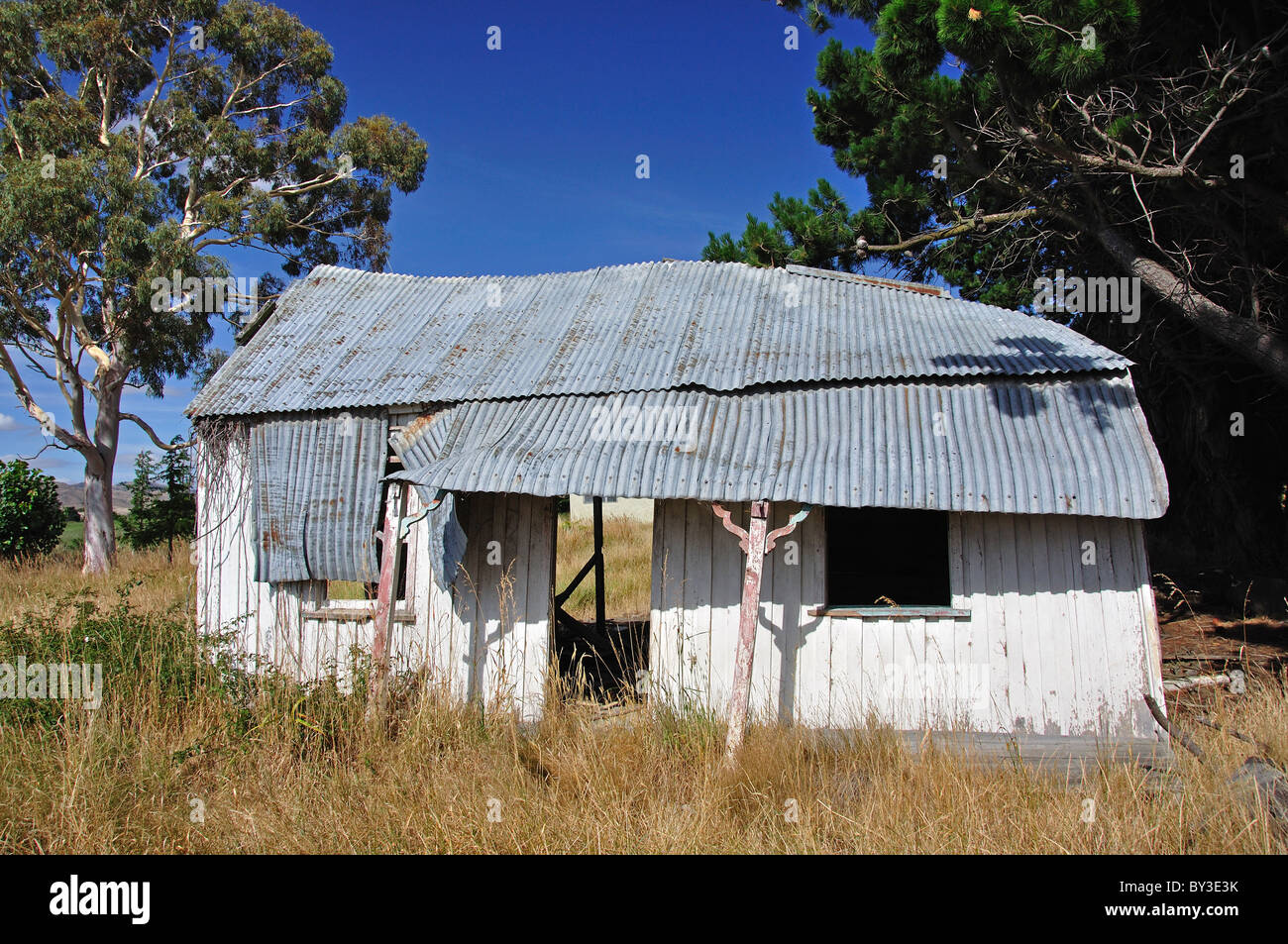 Small dilapidated hut in field, Waikari, North Canterbury, Canterbury Region, South Island, New ...