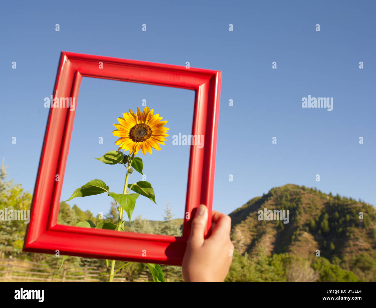 Human frame hi-res stock photography and images - Alamy