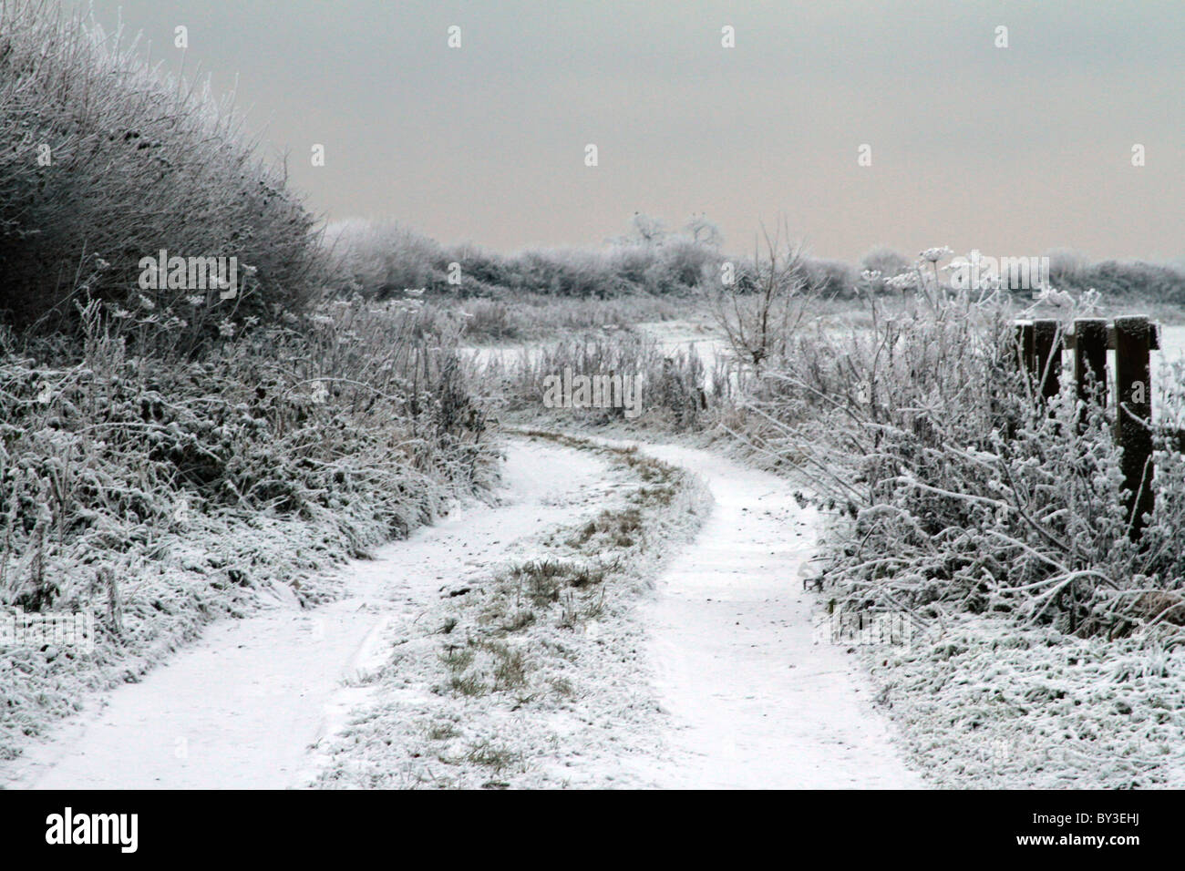 Farm track covered by the first fall snow Stock Photo - Alamy