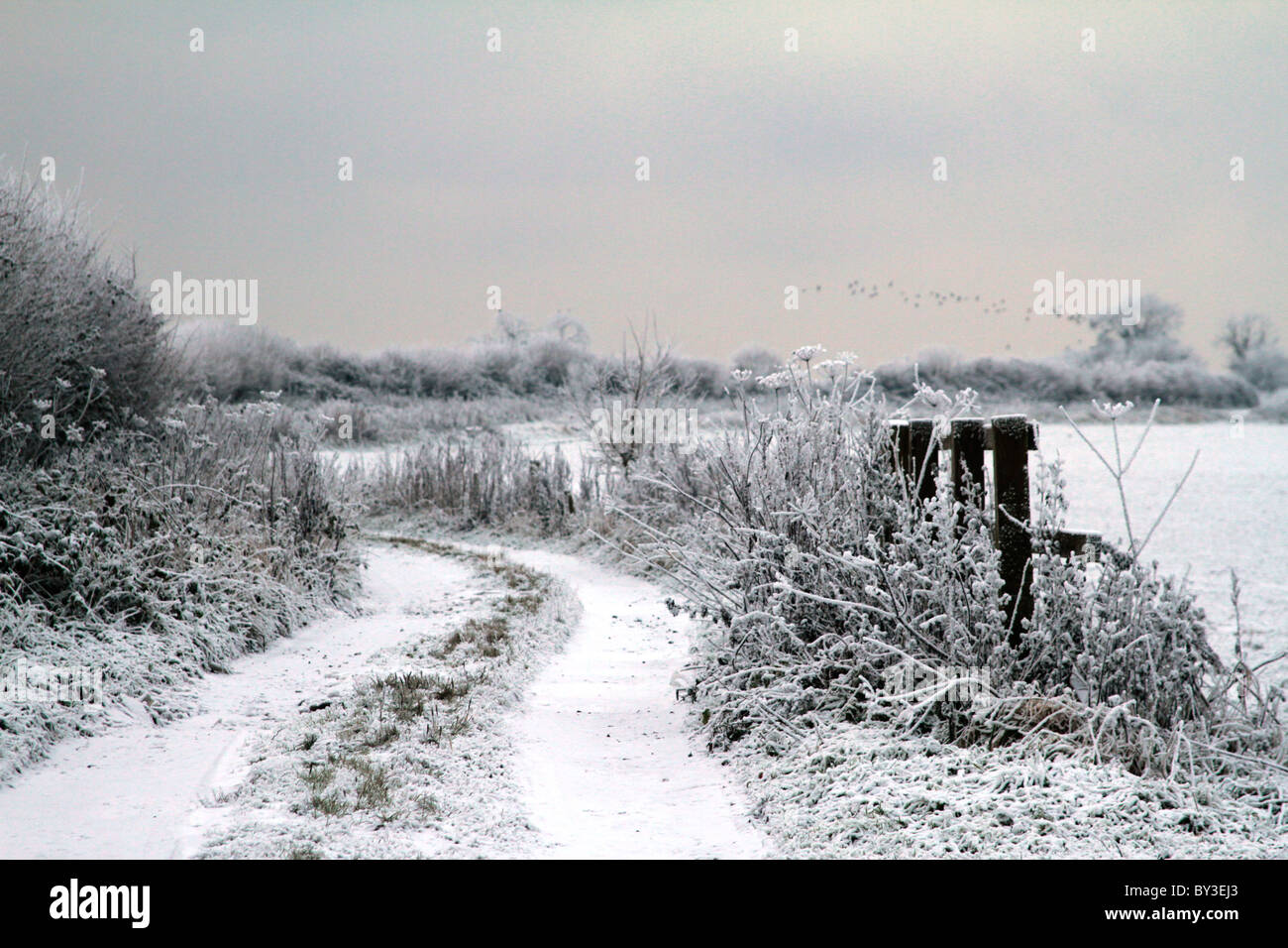 Farm track covered by the first fall snow Stock Photo - Alamy