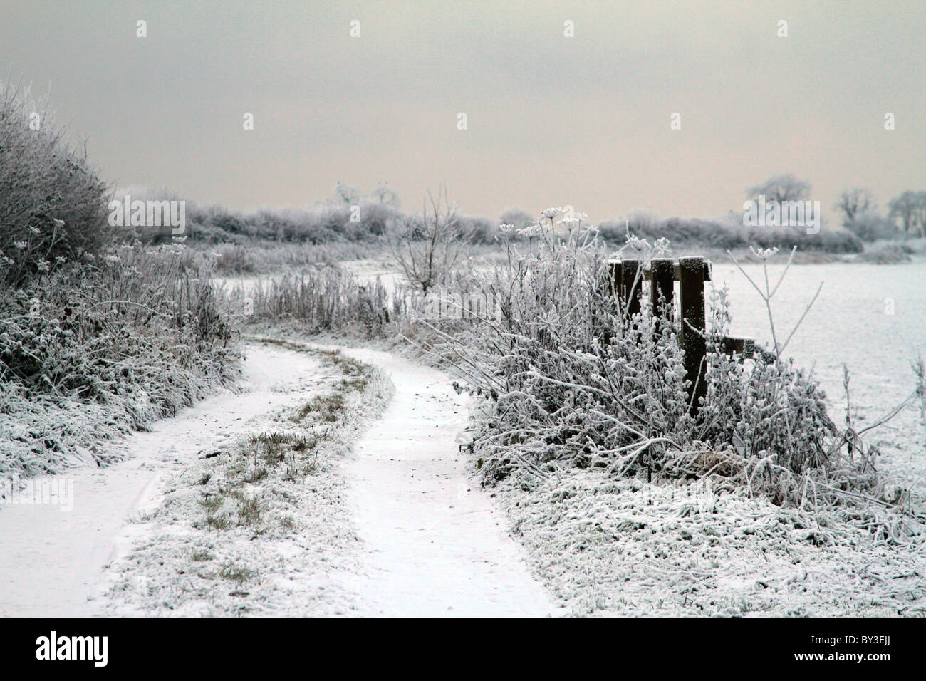 Farm track covered by the first fall snow Stock Photo - Alamy