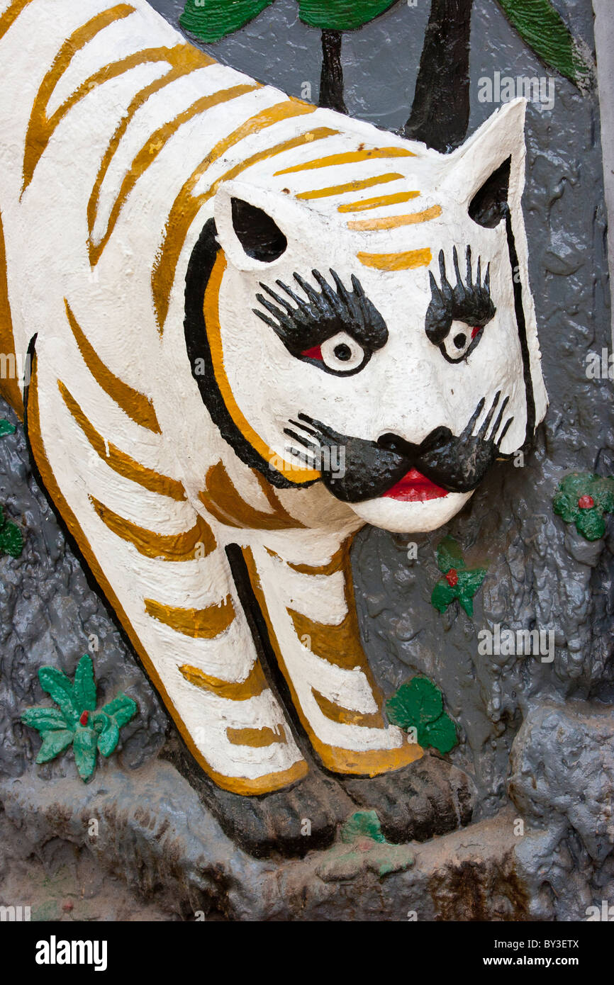 Tiger eyebrows hi-res stock photography and images - Alamy