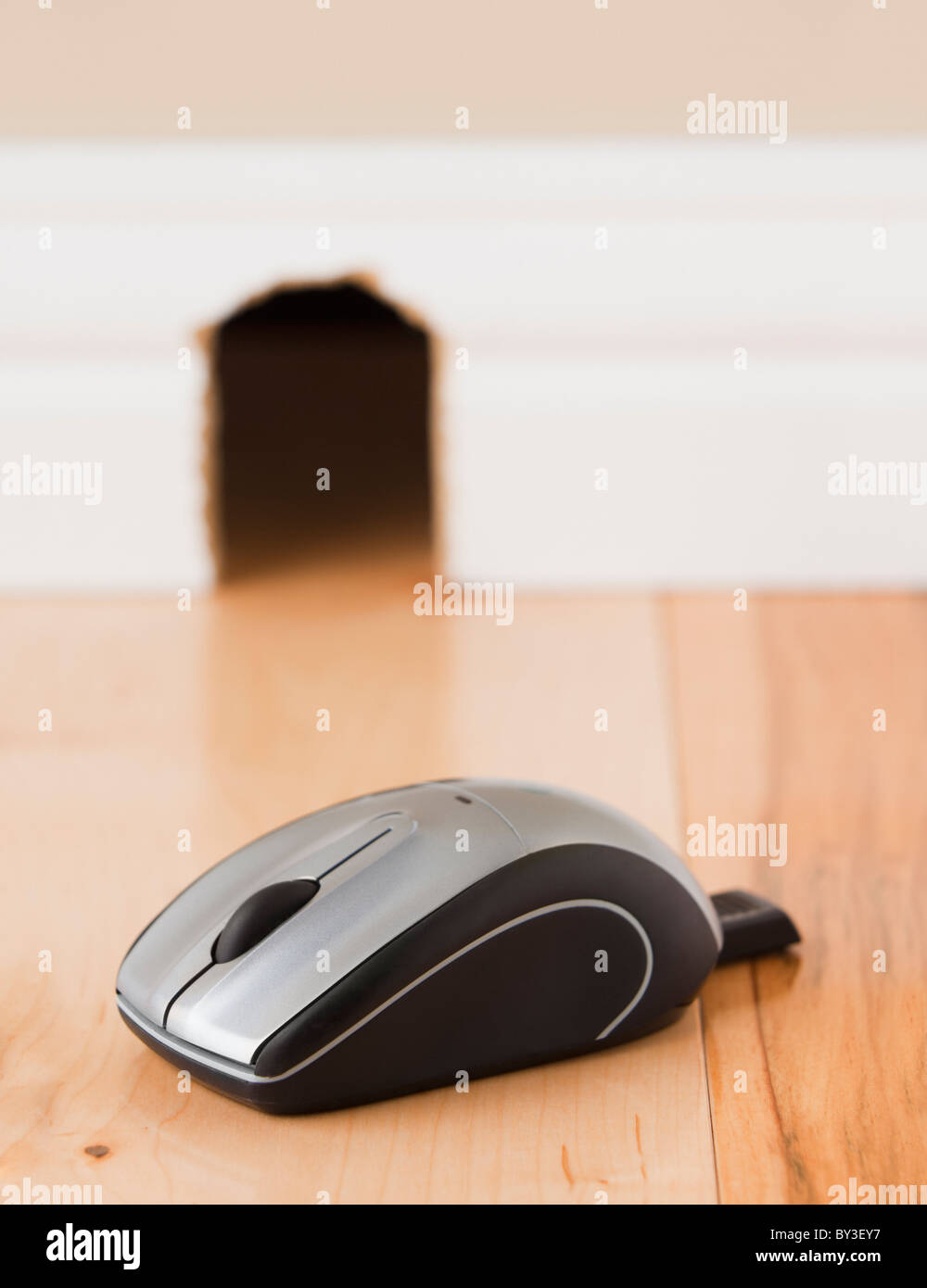 Computer mouse on floor in front of mouse hole Stock Photo - Alamy