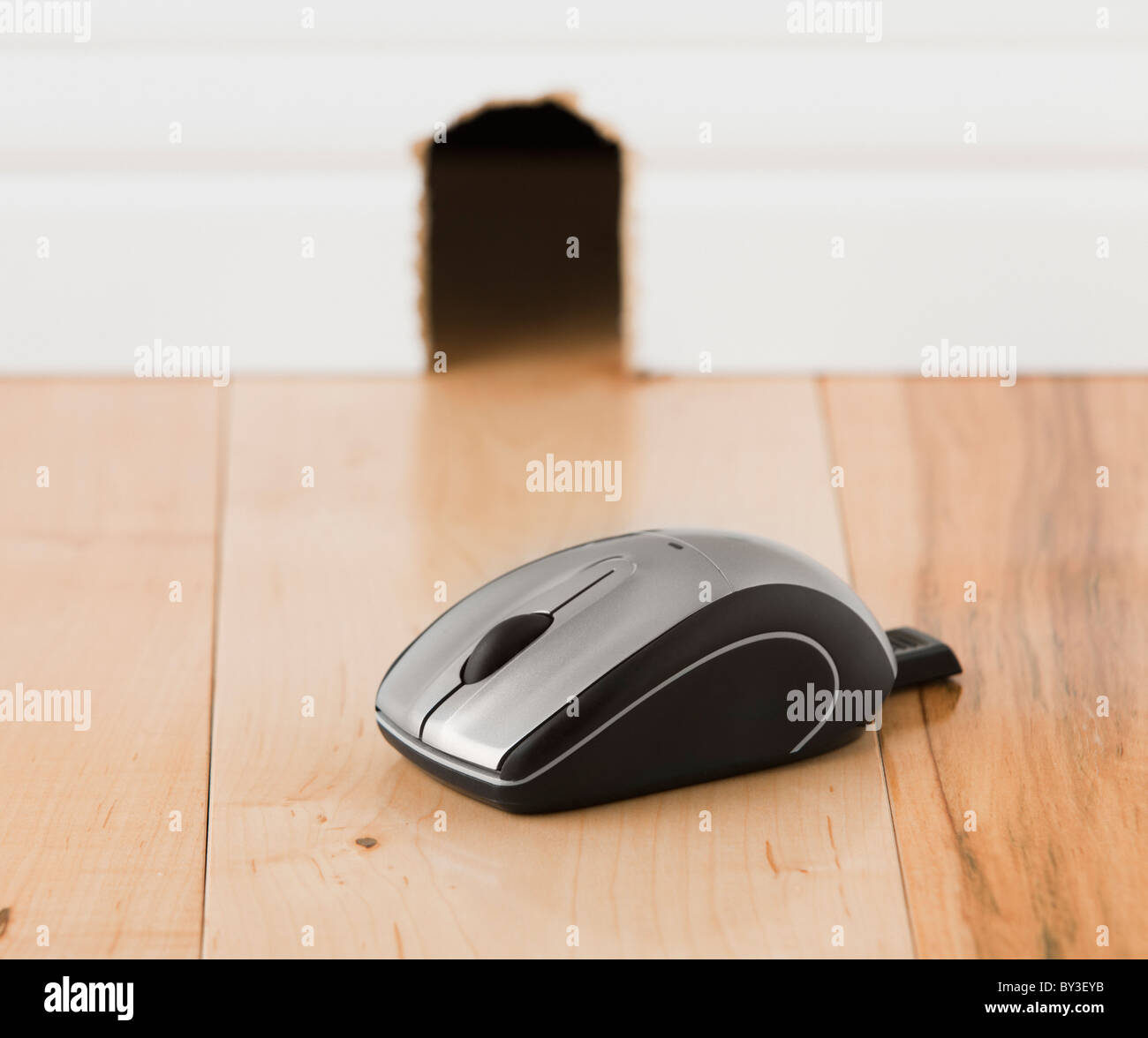 Computer mouse on floor in front of mouse hole Stock Photo - Alamy