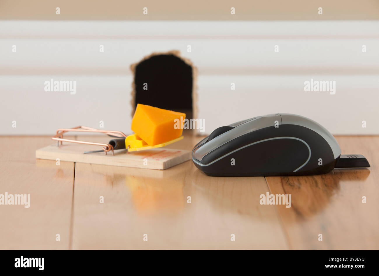 Computer mouse and mousetrap with cheese in front of mouse hole Stock ...