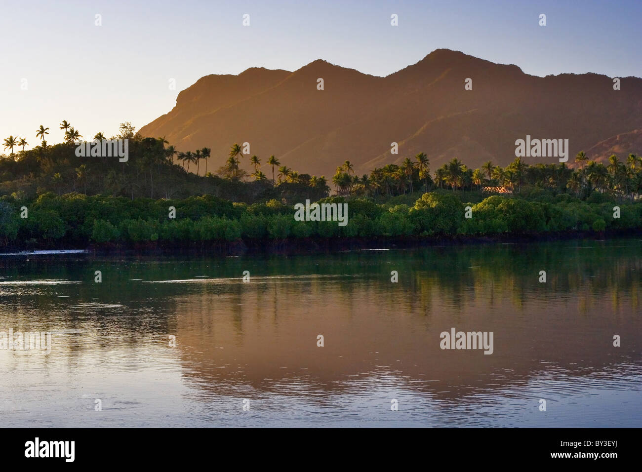 Mangroves fiji hi-res stock photography and images - Alamy