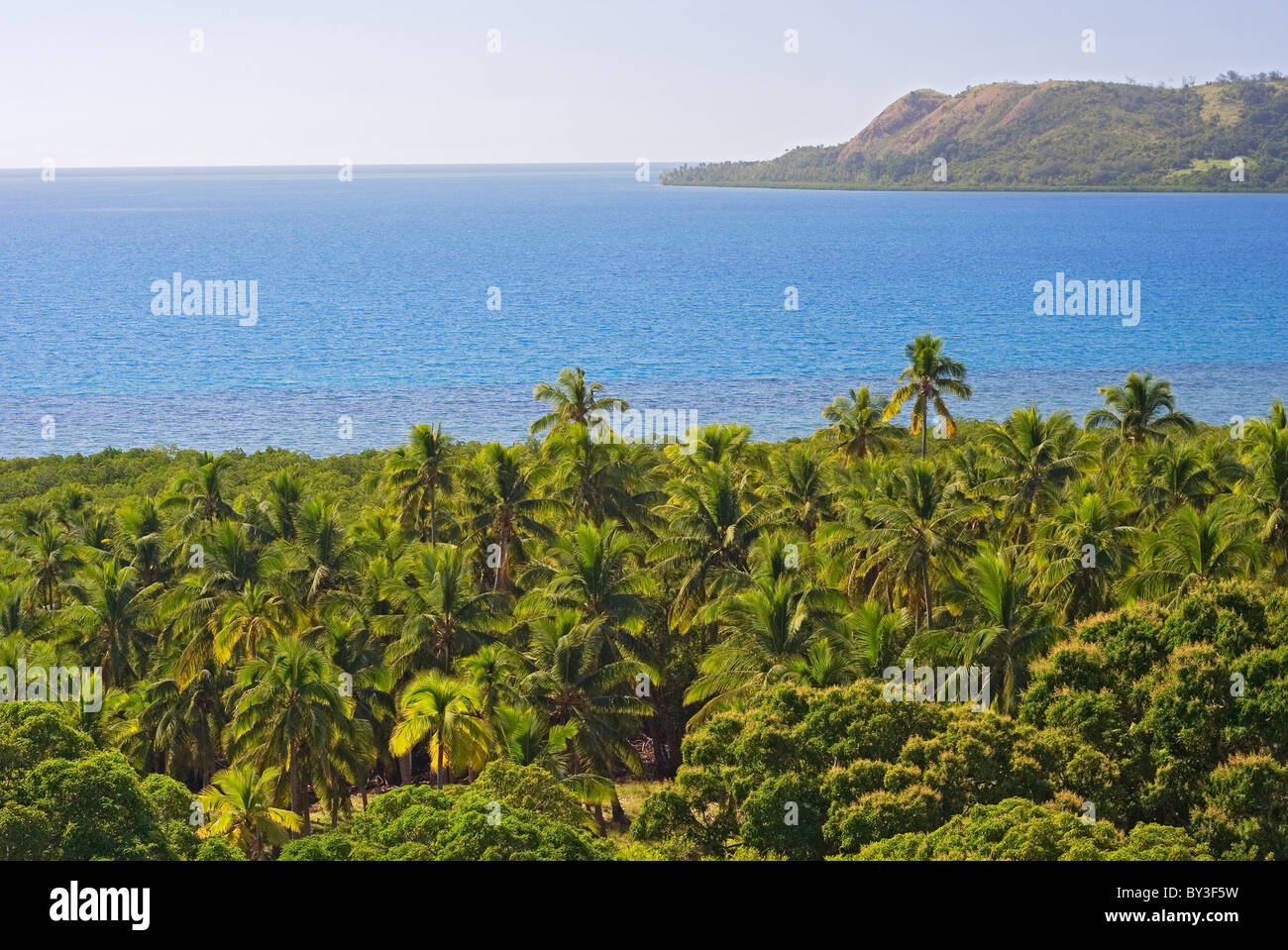 Mangroves fiji hi-res stock photography and images - Alamy