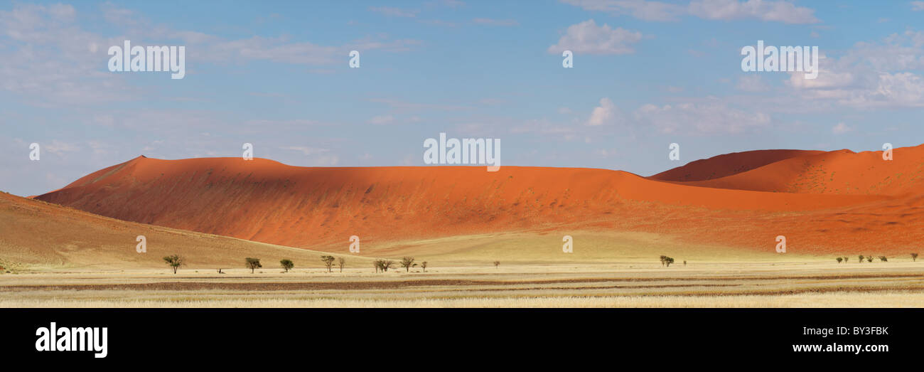 Panorama landscape of red desert sand dunes, Sossusvlei, Namibia ...