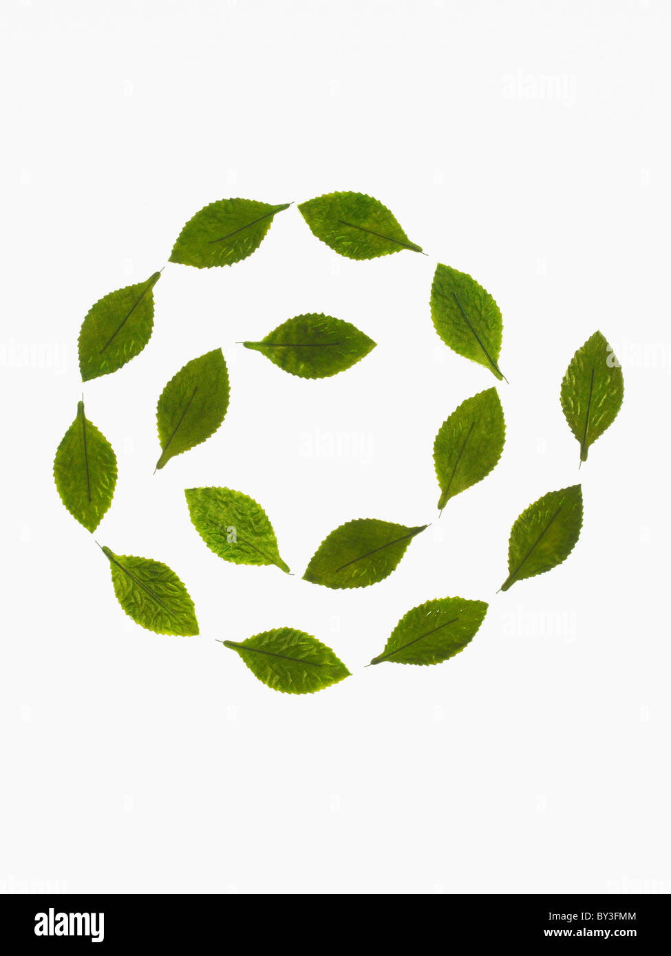 Spiral arrangement hi-res stock photography and images - Alamy