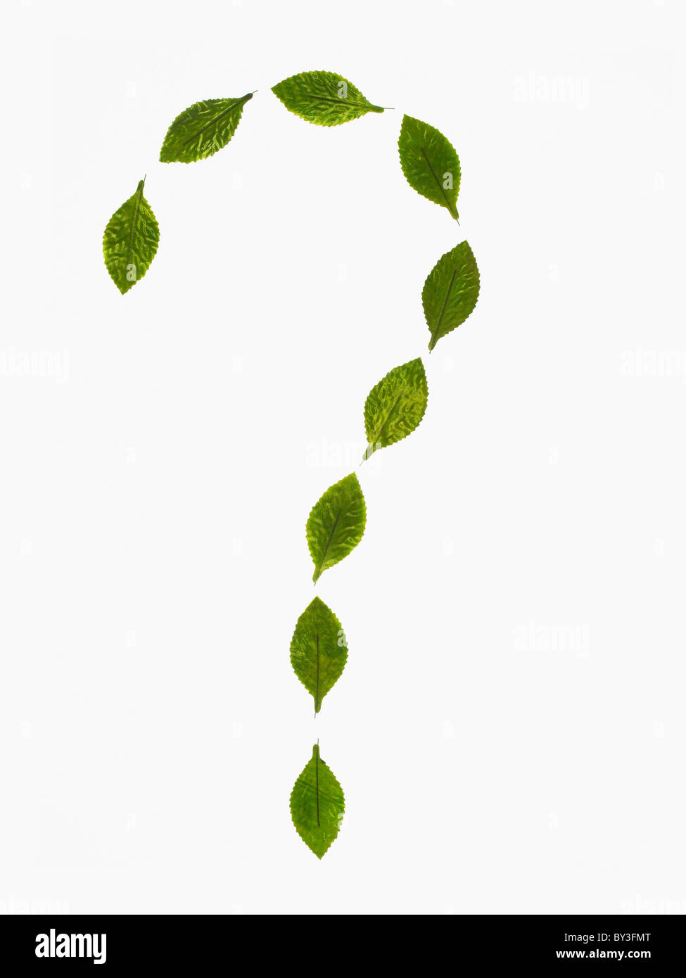 Studio shot of green leaves in question mark shape Stock Photo - Alamy