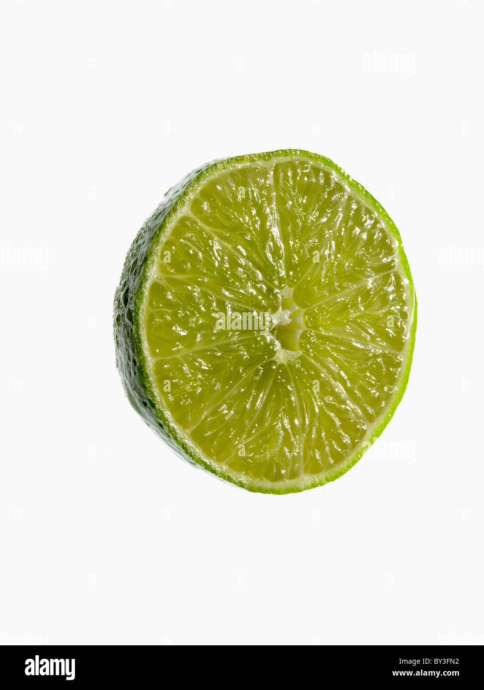 Studio shot of cross section of lime Stock Photo - Alamy