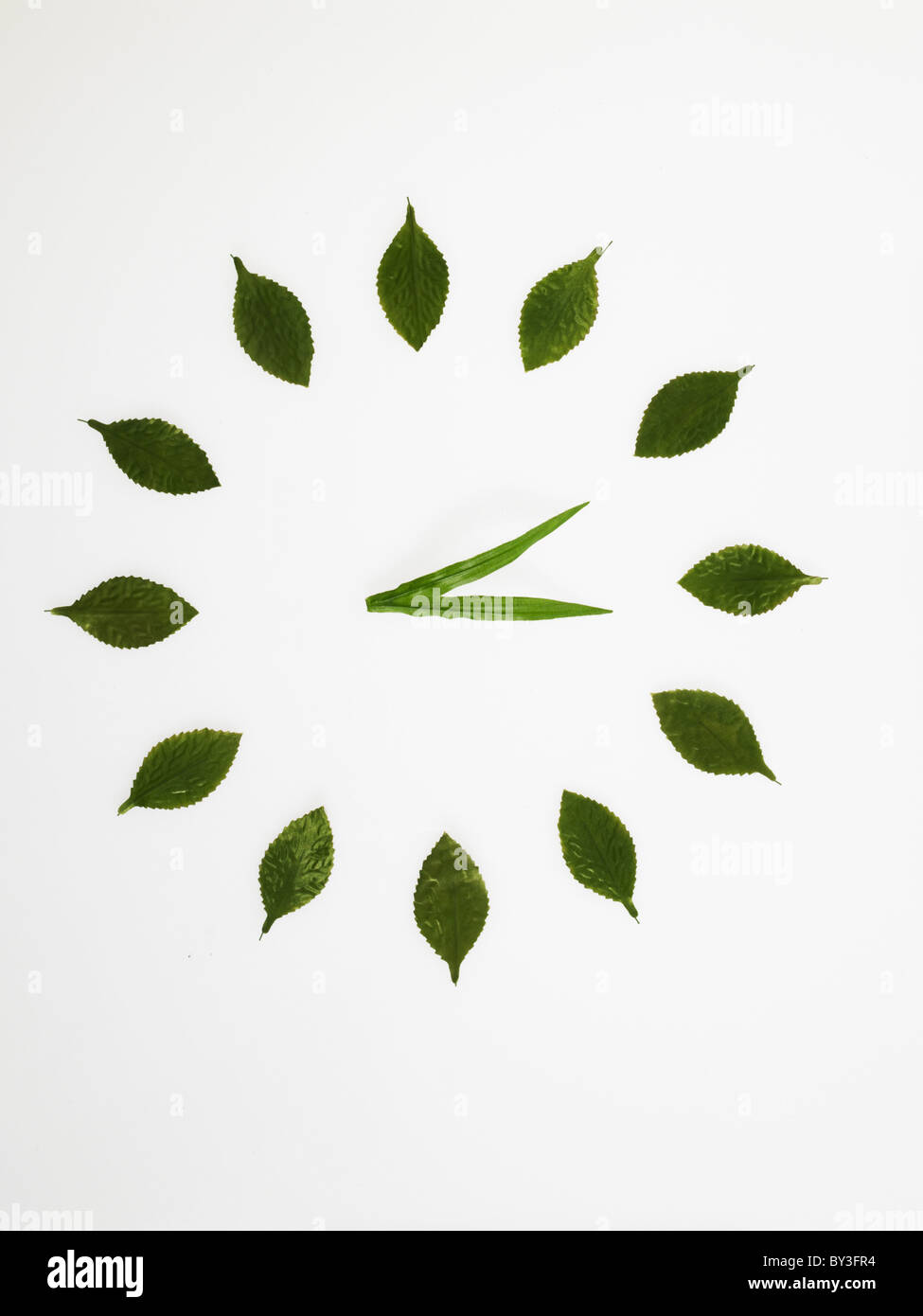 Clock face made of leaves Stock Photo - Alamy