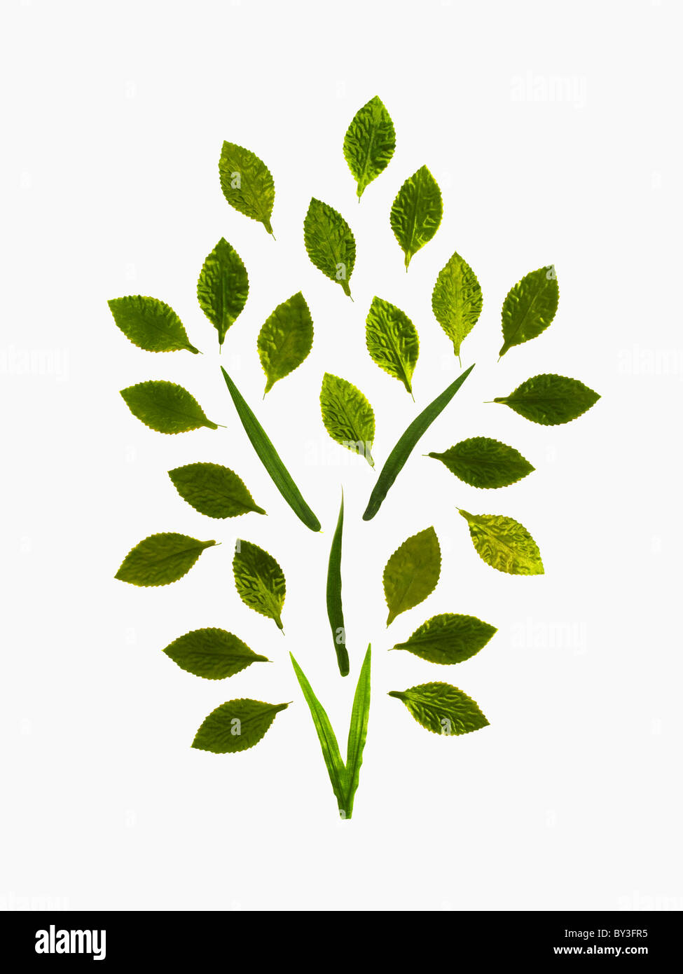 Vertical leaf pattern hi-res stock photography and images - Alamy