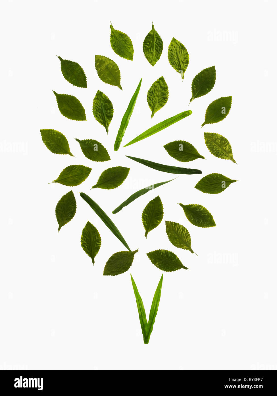 Vertical leaf pattern hi-res stock photography and images - Alamy