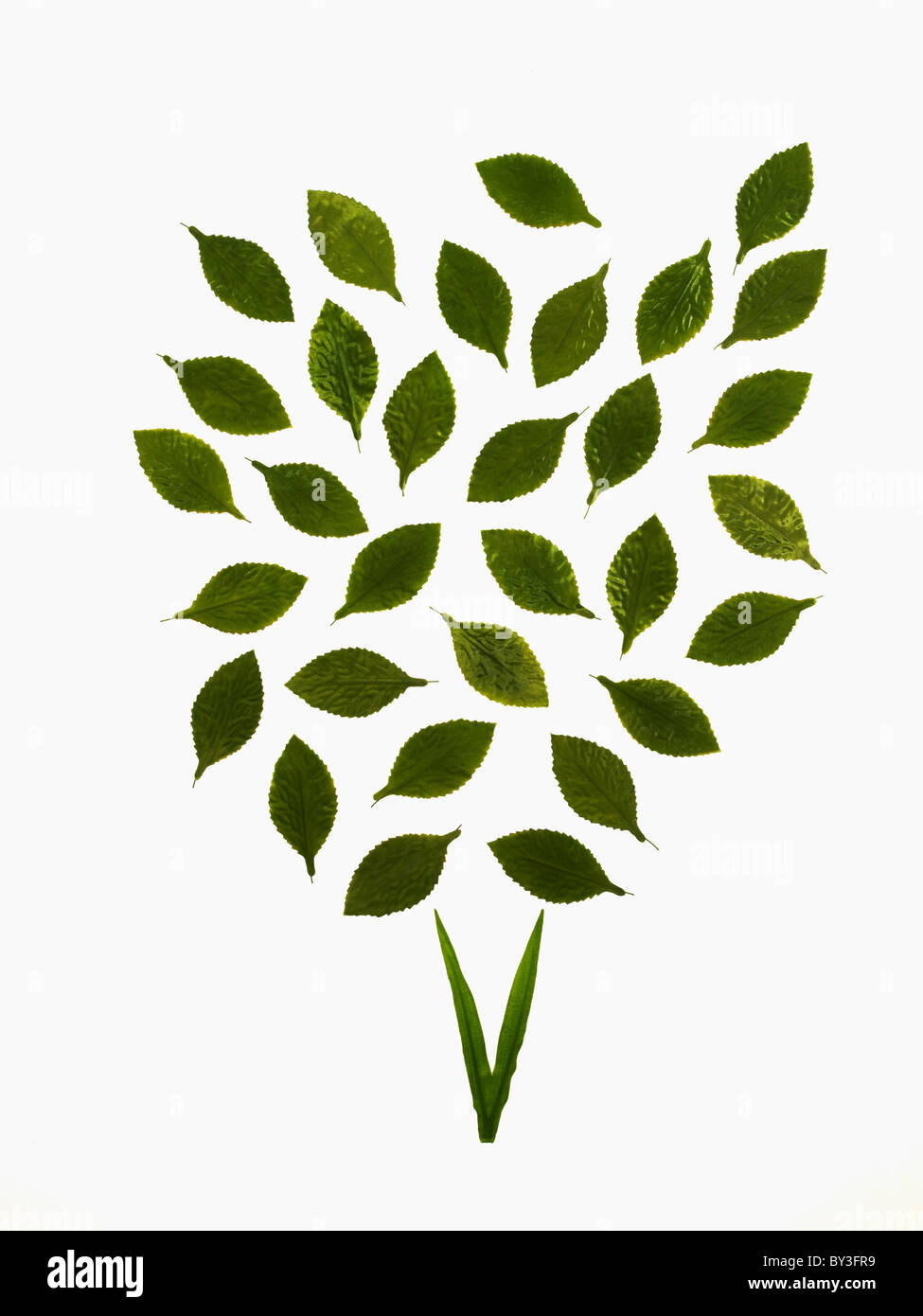 Vertical leaf pattern hi-res stock photography and images - Alamy