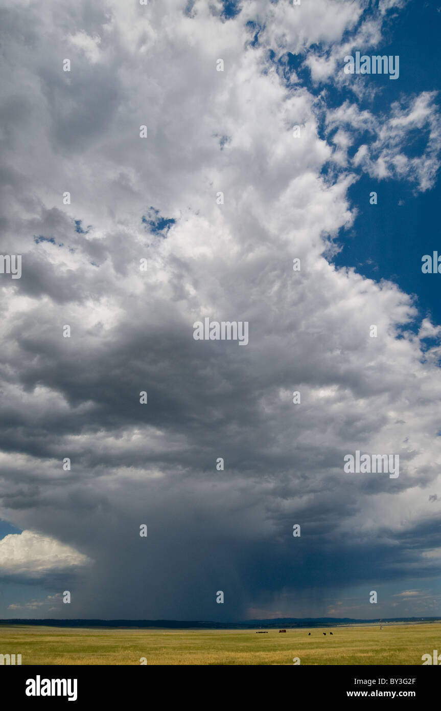Daytime clouds over plains hi-res stock photography and images - Alamy