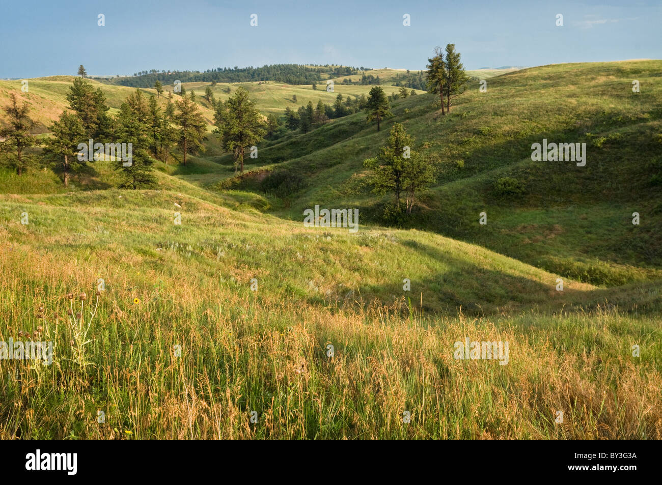 Nebraska landscape hi-res stock photography and images - Alamy