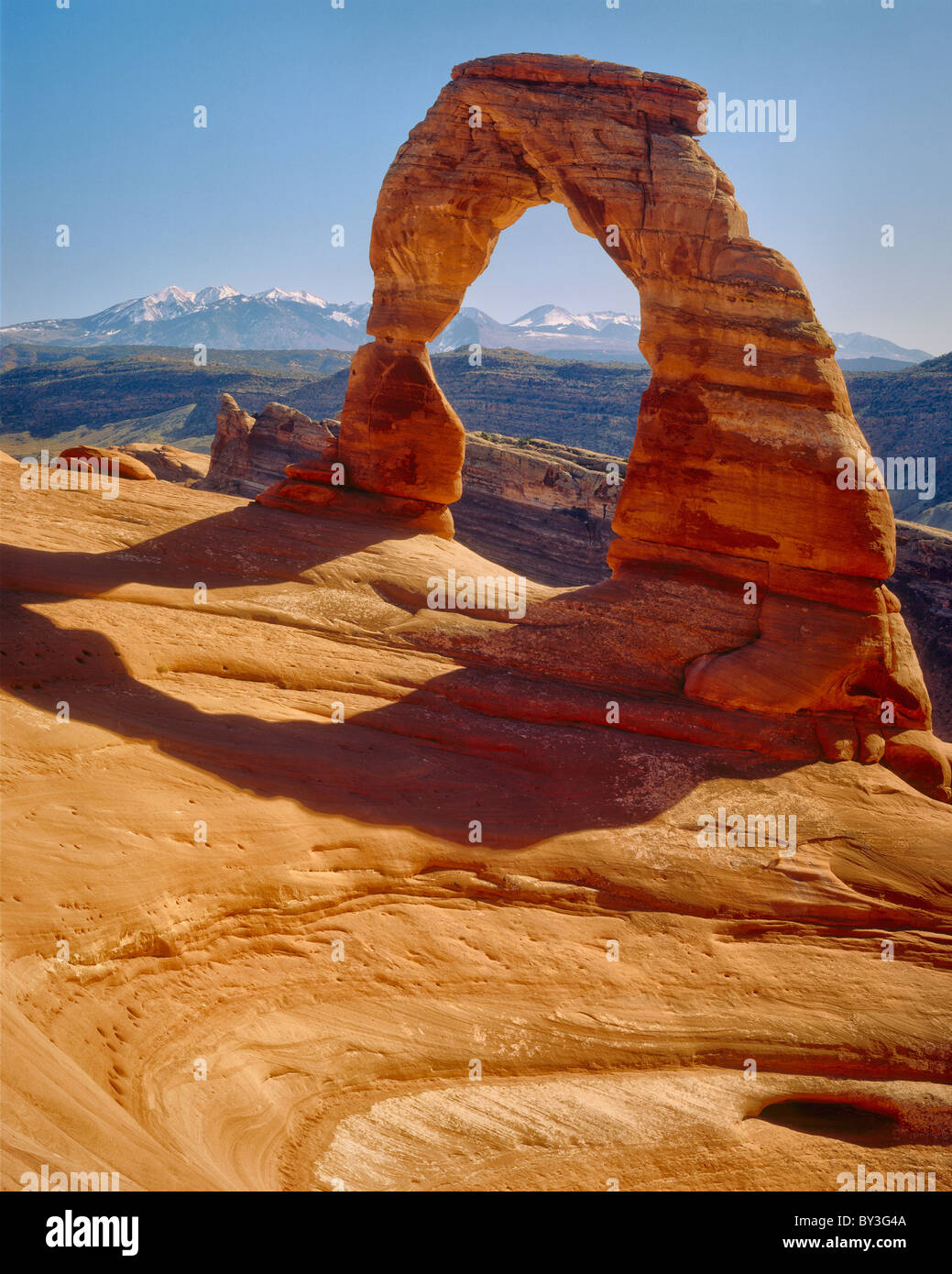 Delicate natural formation hi-res stock photography and images - Alamy