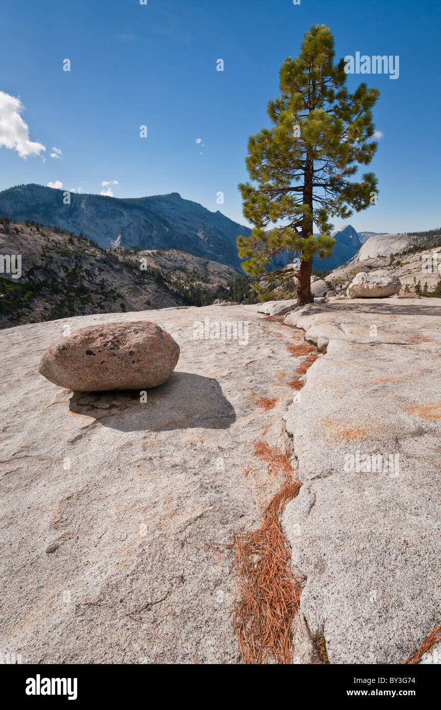 Vertical day daytime rock tree hi-res stock photography and images - Alamy