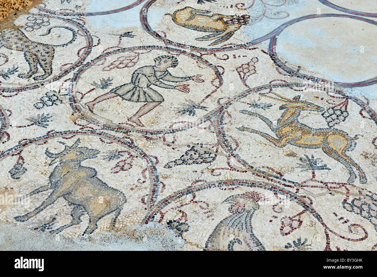 Ancient Caesarea Archaeological Ruins High Resolution Stock Photography ...