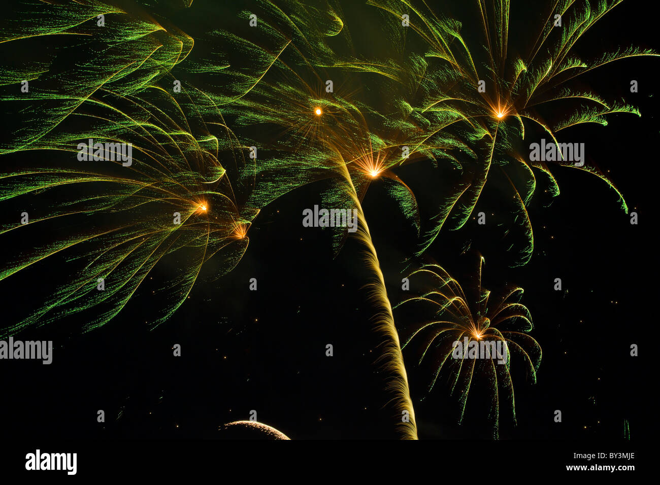 Palm tree effect fireworks display hi-res stock photography and images ...