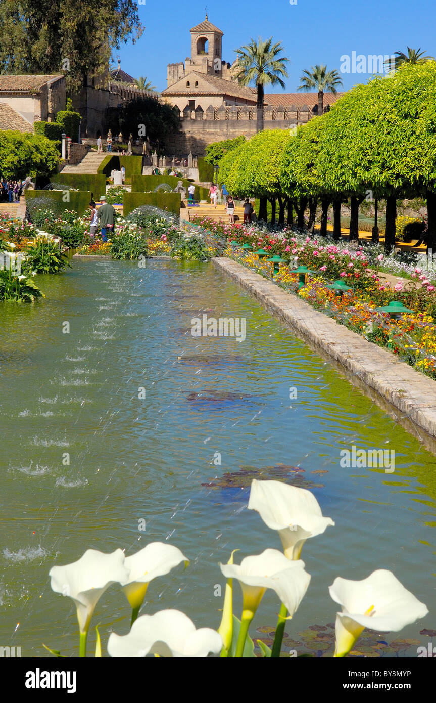 The gardens of the Alcazar of Catholic Kings, Cordoba. Andalusia, Spain ...