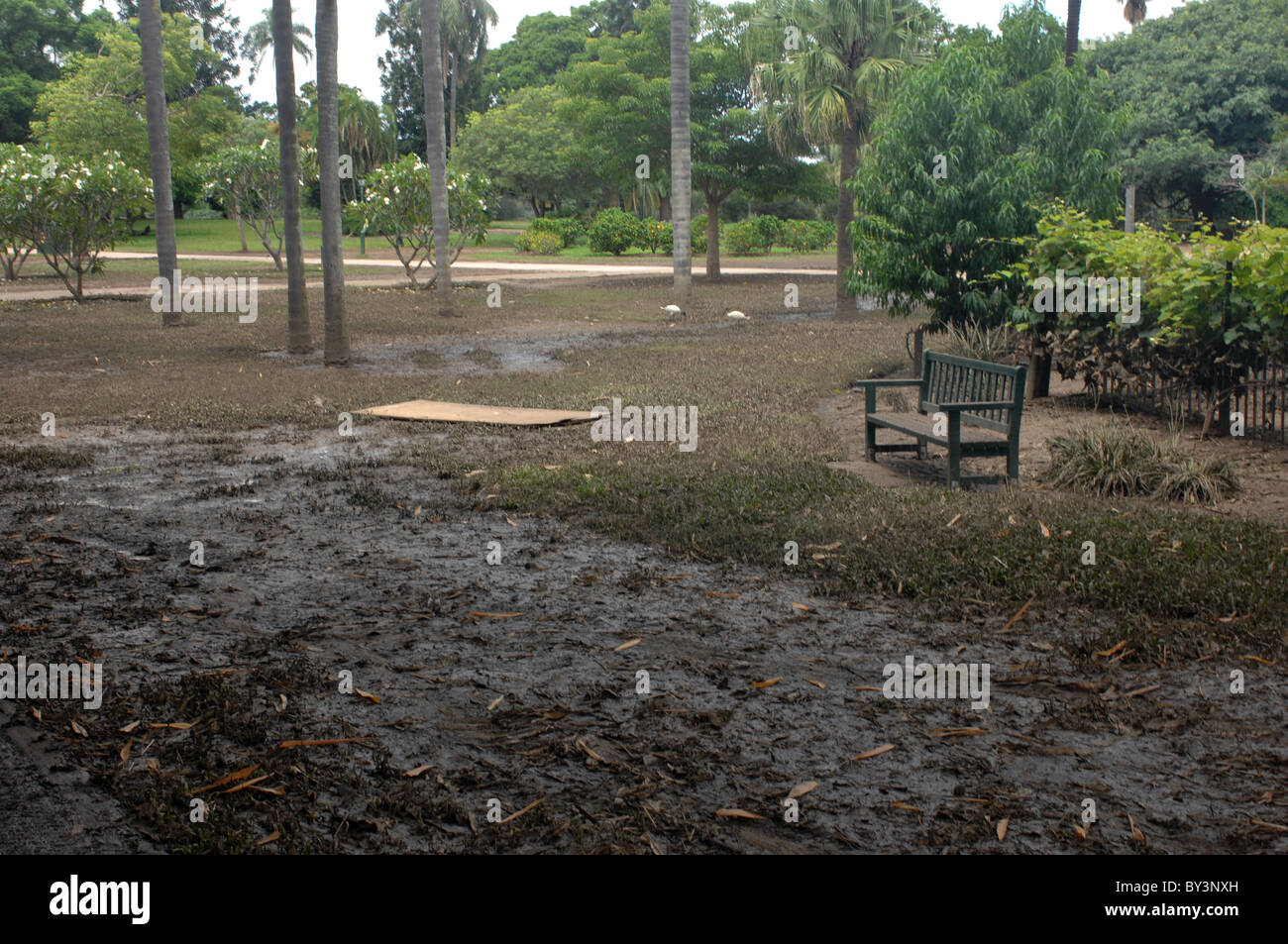 Brisbane flood damage 2011, Queensland, Australia Stock Photo - Alamy