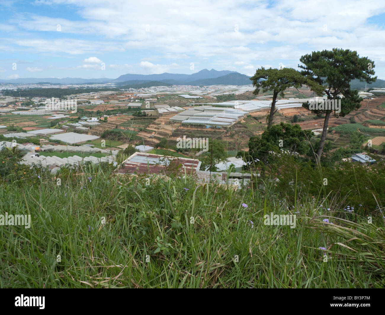 Typical landscape near Dalat, Central Highlands, Vietnam, Indochina ...