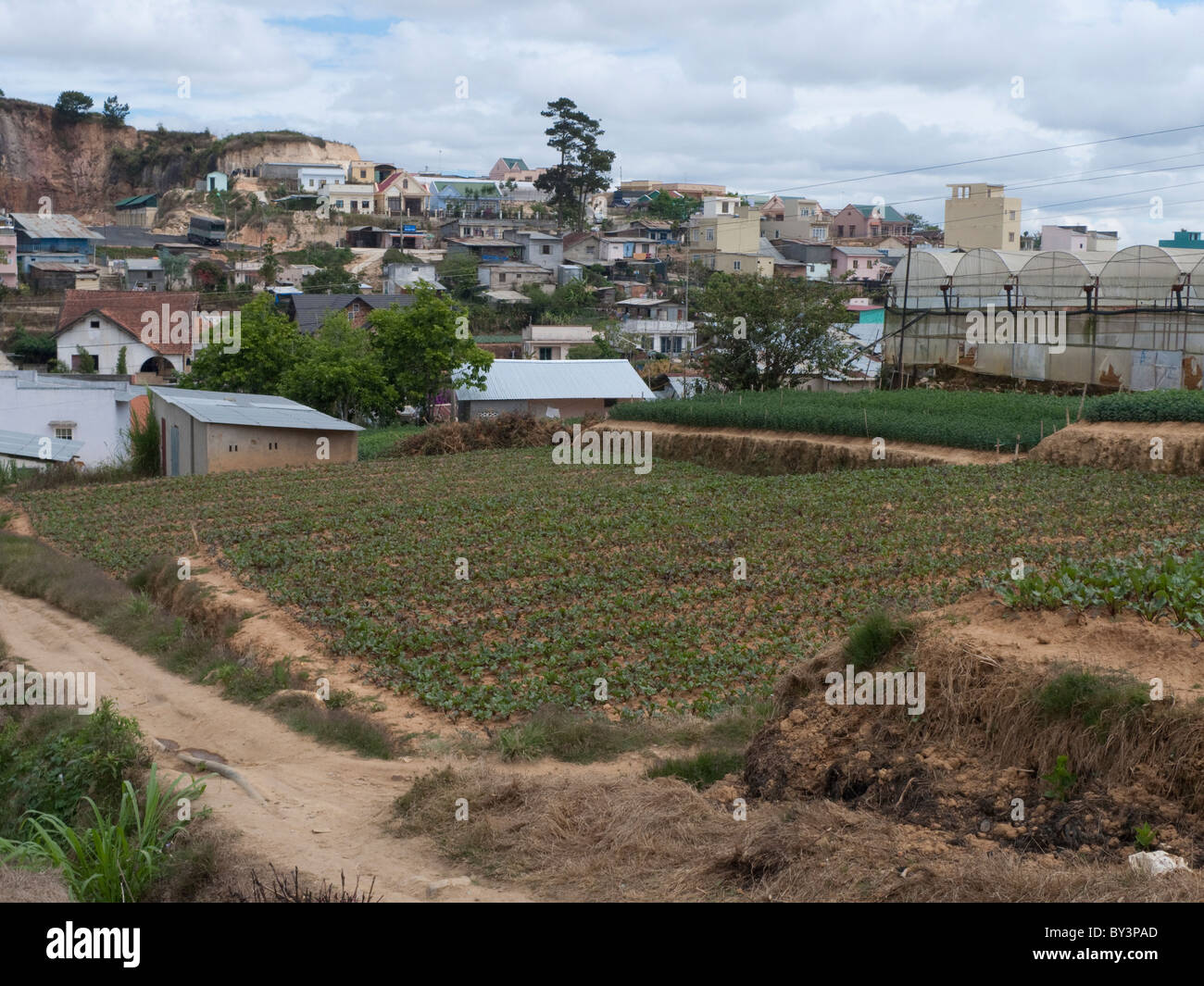 Typical landscape near Dalat, Central Highlands, Vietnam, Indochina ...